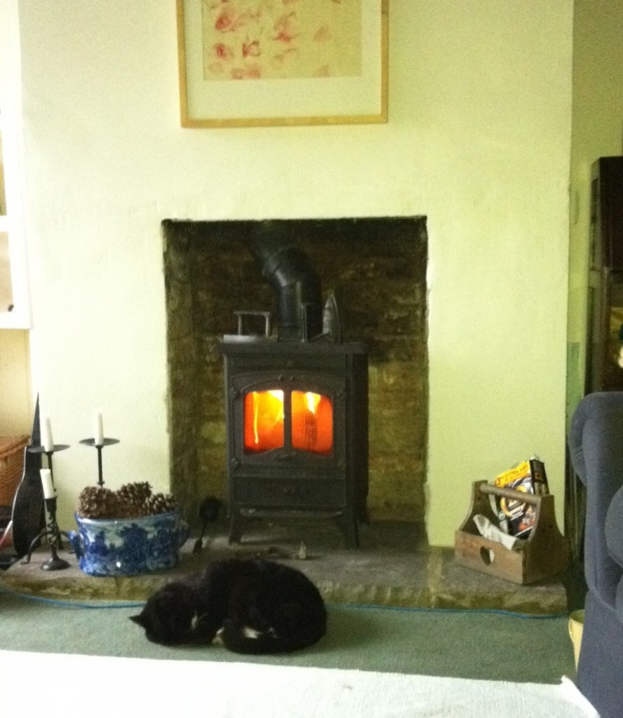 The Aged P » Blog Archive » photo (1)